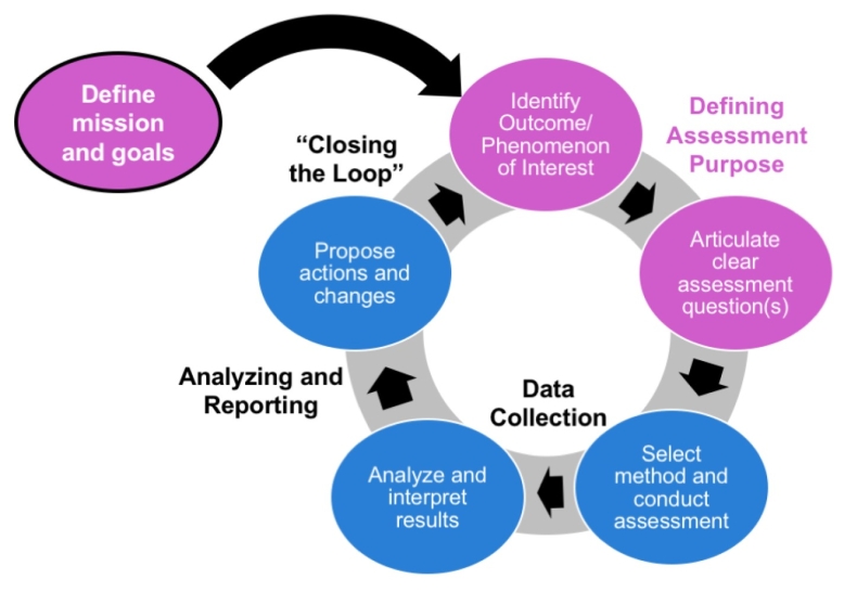 Assessment Cycle | Division of Student Affairs New Brunswick